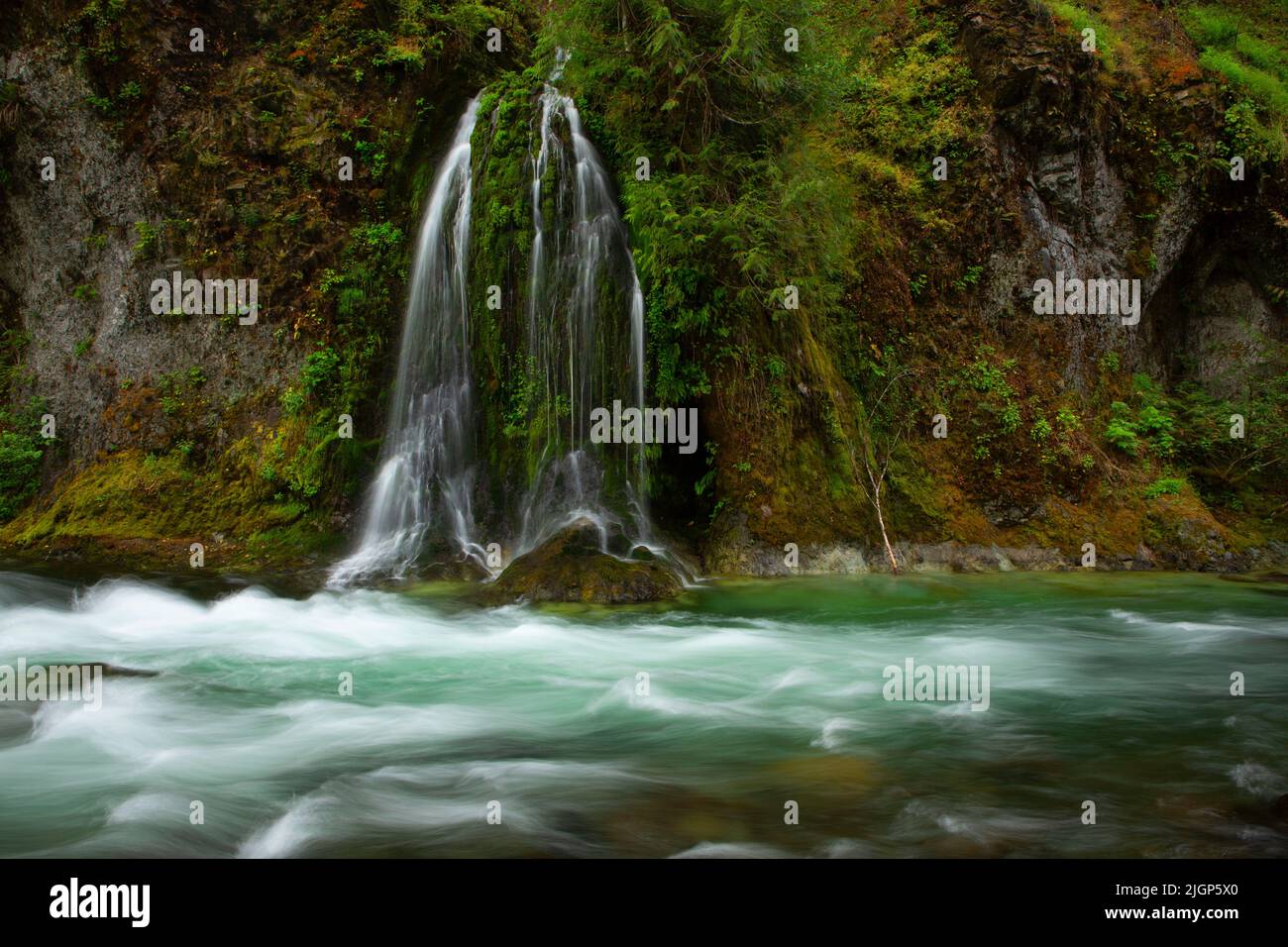 Wasserfall auf dem Campingplatz Salmon Creek Falls, Willamette National ...