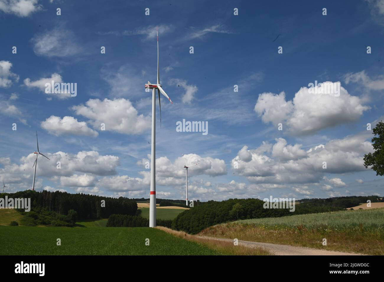 Pronsfeld, Deutschland. 25.. Juni 2022. In der Landschaft steht ein ...
