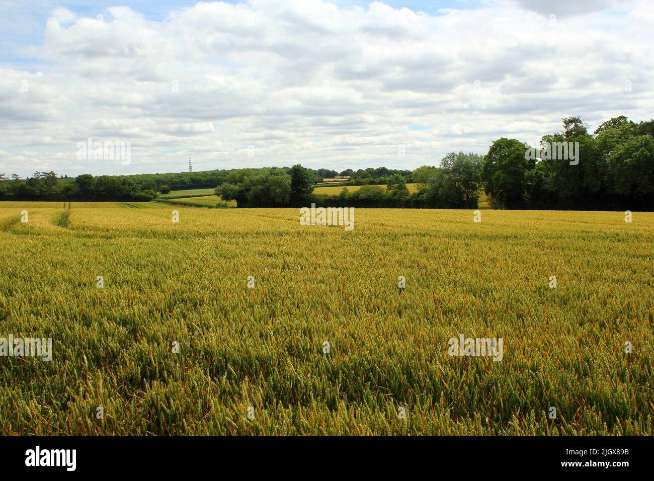 Tun abdul razak forschungszentrum -Fotos und -Bildmaterial in hoher ...