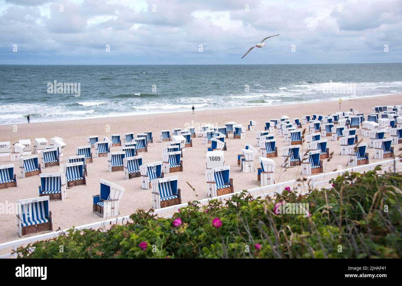 17. Juli 2022, Schleswig-Holstein, Westerland/Sylt: Zwei Wanderer sind ...