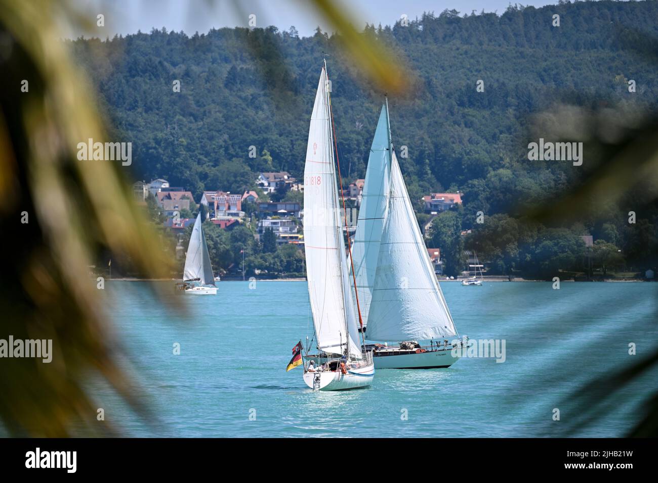 17. Juli 2022, Baden-Württemberg, Insel Mainau im Bodensee: Mehrere ...