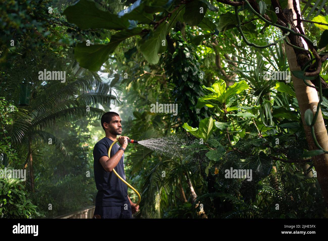 Der Gartenbaustudent Muhammed Ismail Moosa wässert die Pflanzen im Palm ...