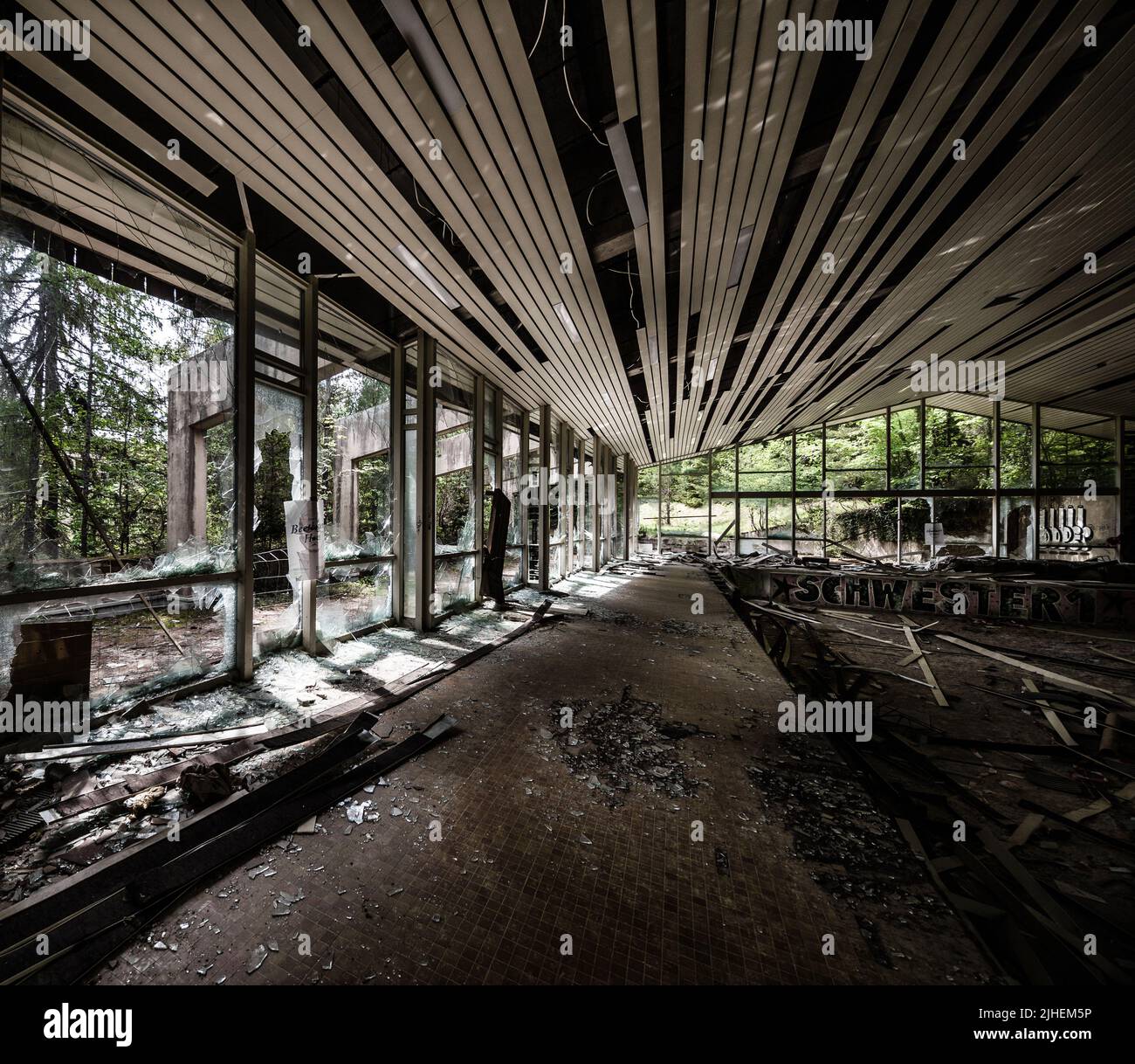 Das Lebensborn-Programm wurde 1935 von Heinrich Himmler ins Leben ...