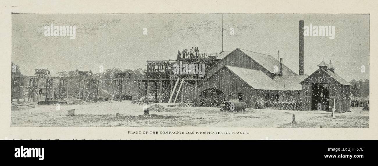 Werk der Compagnie des Phosphates de France aus einem Artikel "FLORIDA ...