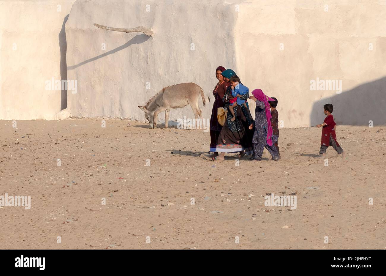 Die Cholistan-Wüste, auch lokal als Rohi bekannt, ist eine Wüste im ...