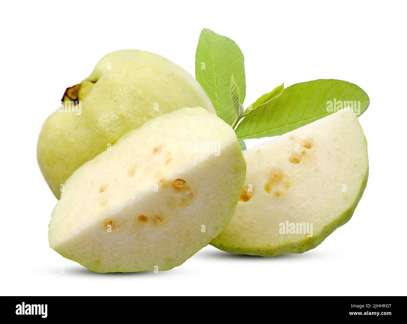 Guava fruits green -Fotos und -Bildmaterial in hoher Auflösung – Alamy