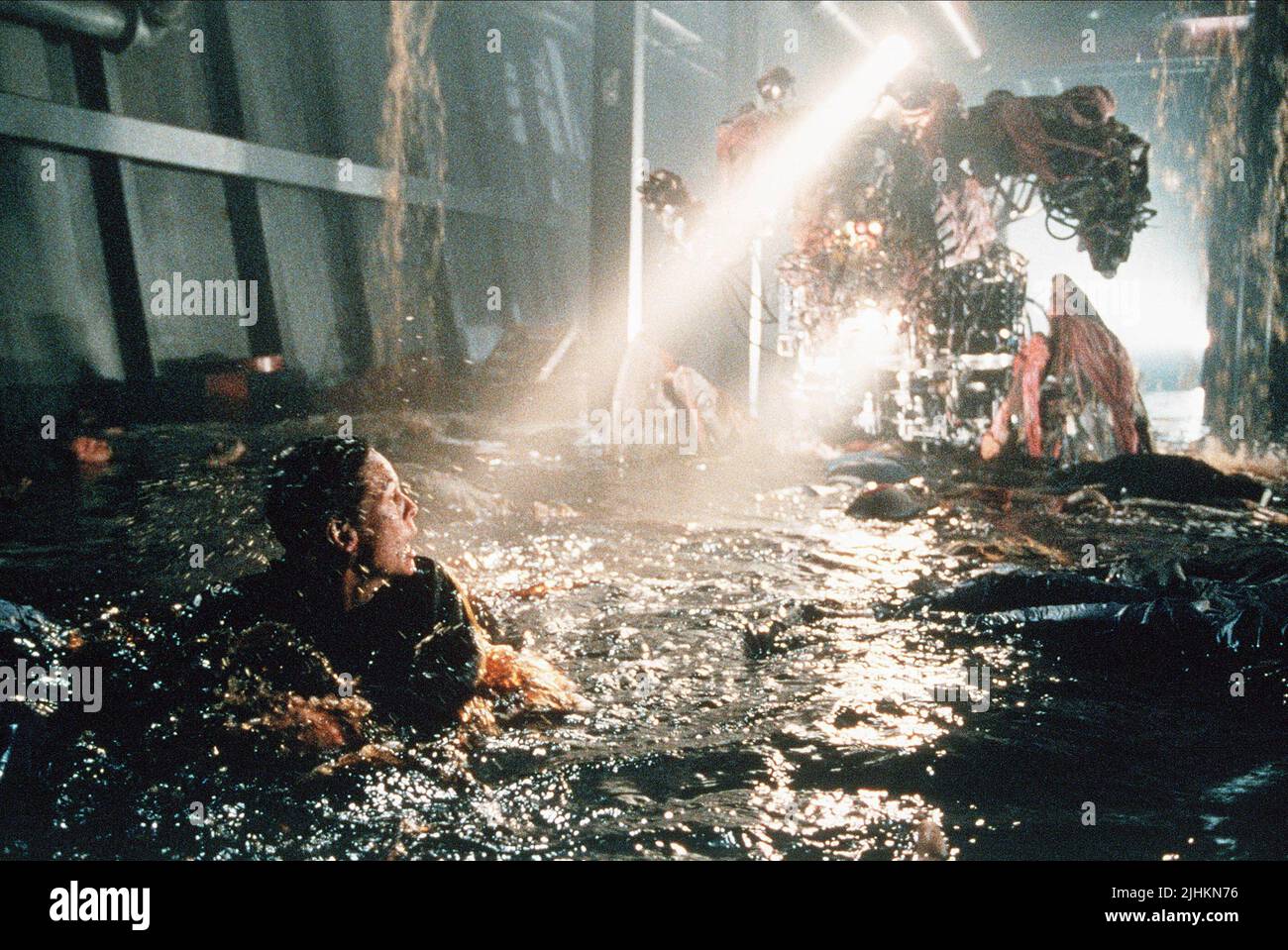 Lee Cooper LC08015380