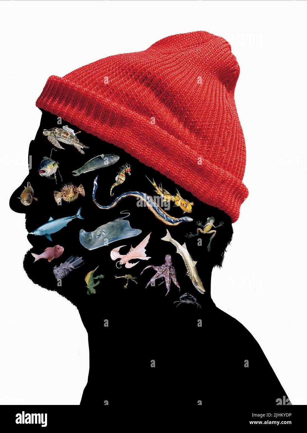 Life aquatic with steve zissou -Fotos und -Bildmaterial in hoher ...