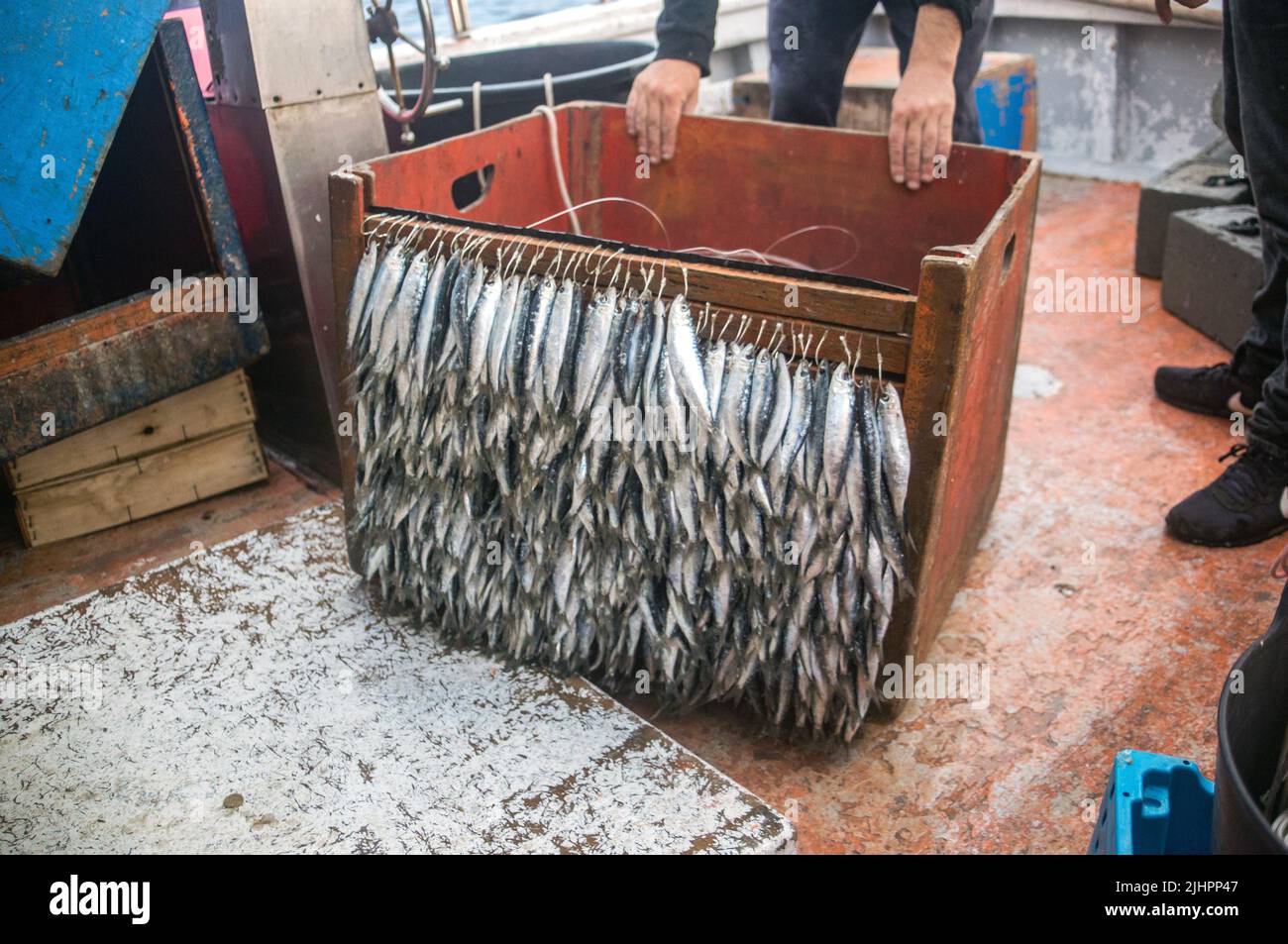 Longline box -Fotos und -Bildmaterial in hoher Auflösung – Alamy