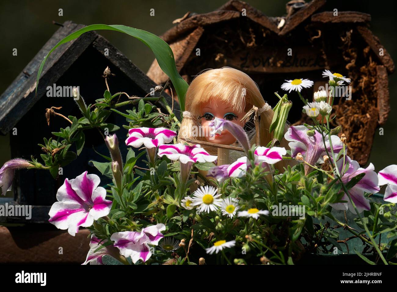 Mysterious figure -Fotos und -Bildmaterial in hoher Auflösung – Alamy