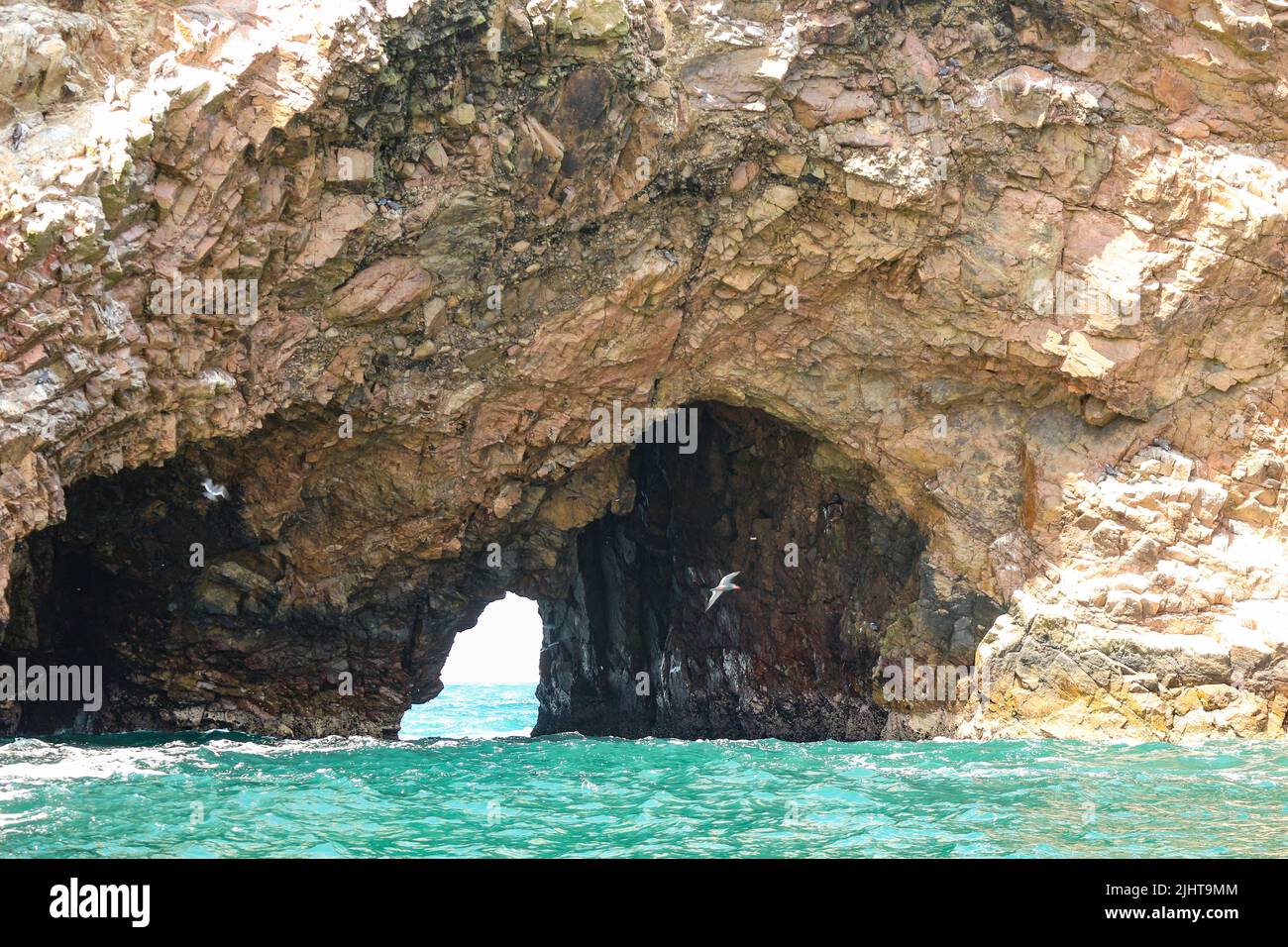 Naturschutzgebiet paracas und die ballestas inseln -Fotos und ...