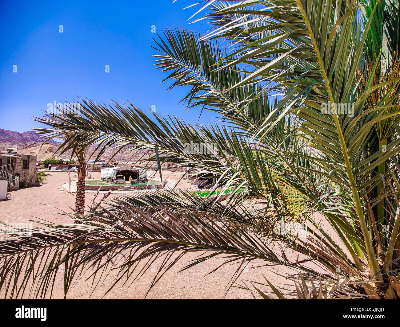 Ferienhaus in einem Beduinenlager am Meer in Ras Shitan in Oasis im ...