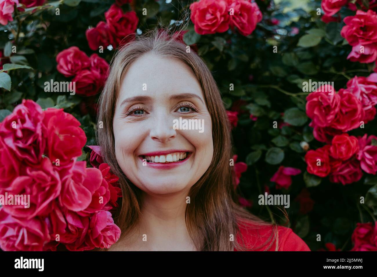 Blick auf rosen von vorne -Fotos und -Bildmaterial in hoher Auflösung – Alamy