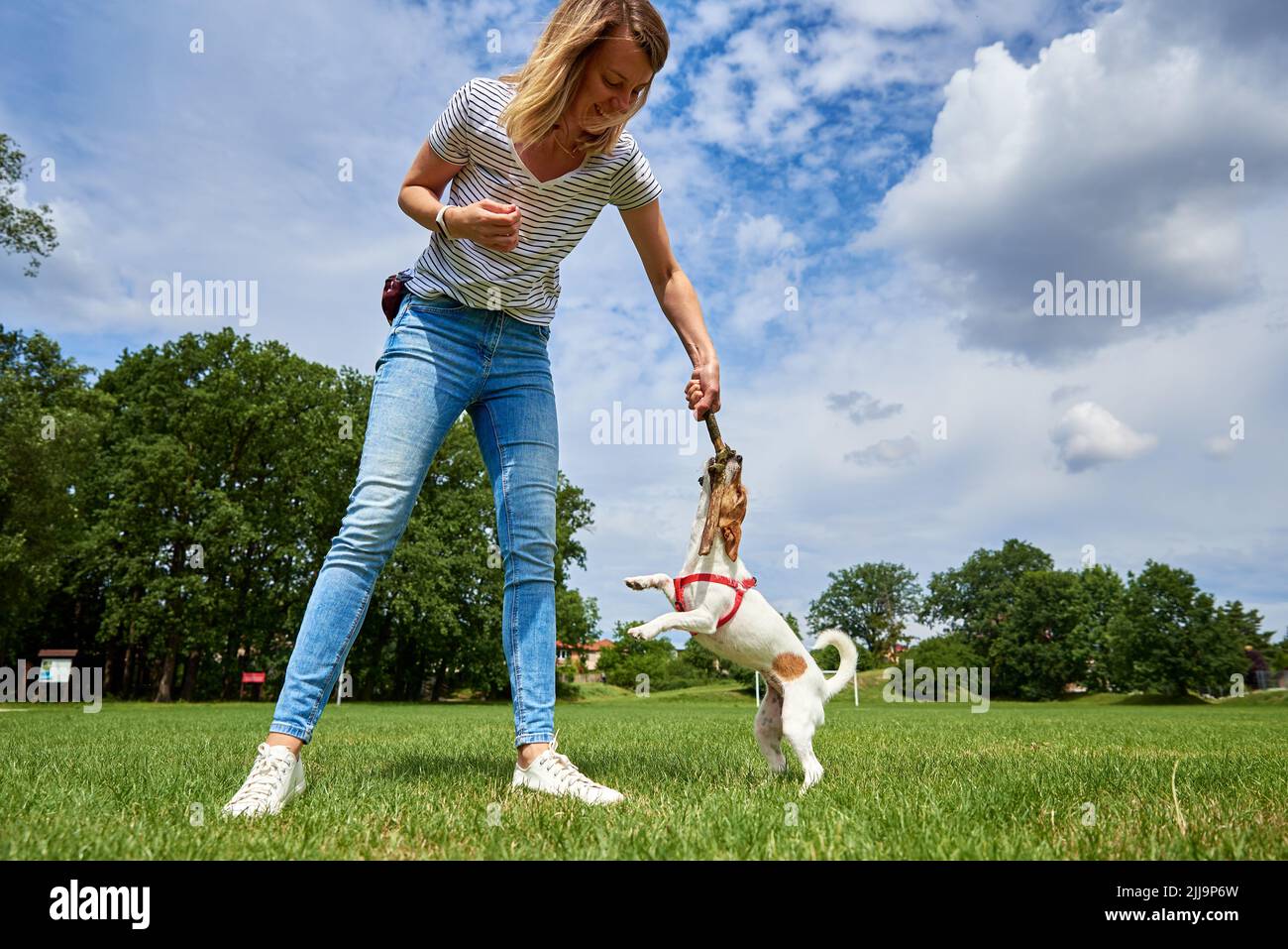 Hundetraining besitzer -Fotos und -Bildmaterial in hoher Auflösung – Alamy