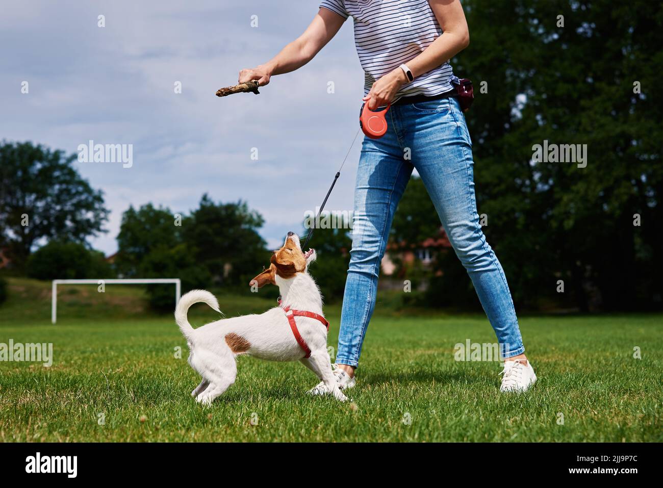 Hundetraining besitzer -Fotos und -Bildmaterial in hoher Auflösung – Alamy