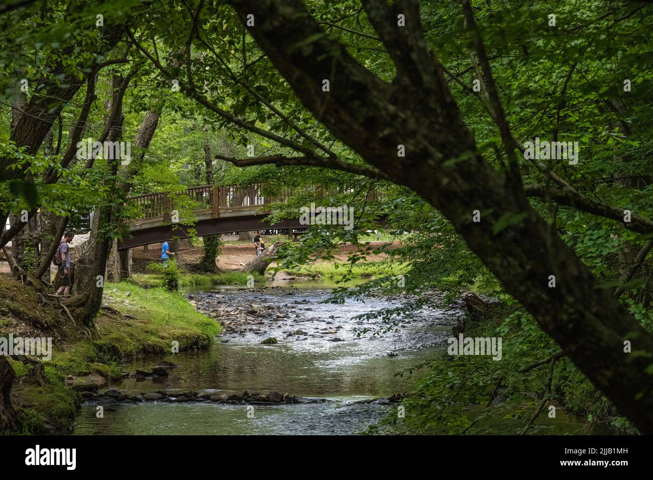 Malerischer Blick auf Menschen, die in Butternut Creek in der Nähe der ...