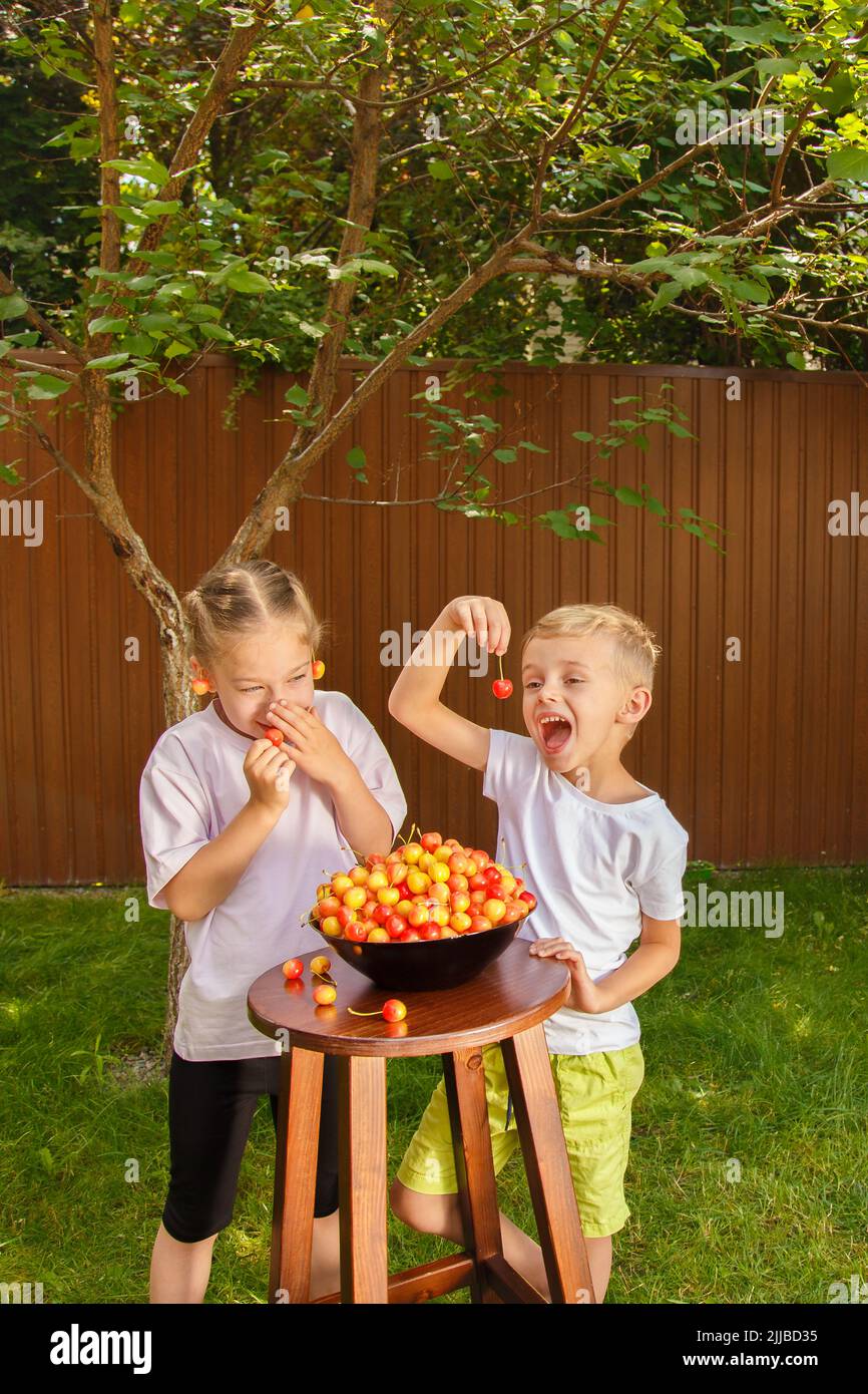 Ein Junge und ein Mädchen spielen mit Kirschen im Garten. Im Garten auf ...