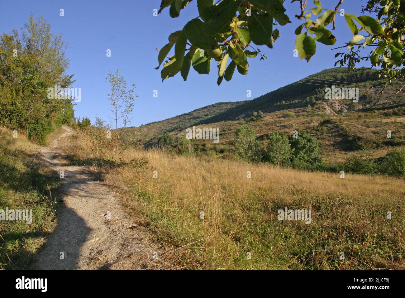 Saint james as pilgrim -Fotos und -Bildmaterial in hoher Auflösung – Alamy