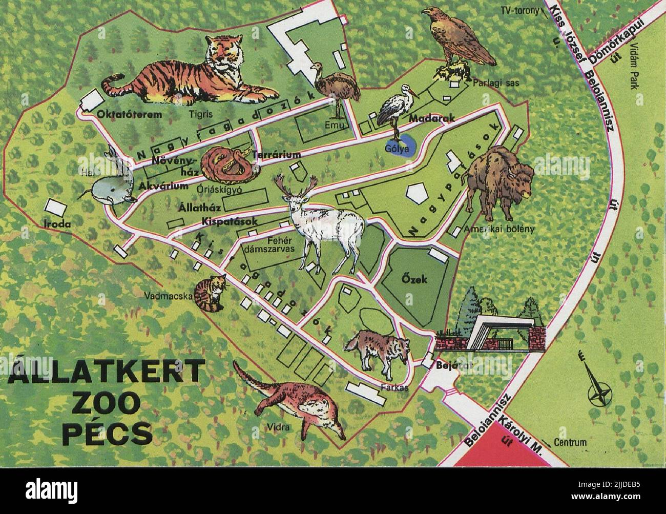 Pecs zoo -Fotos und -Bildmaterial in hoher Auflösung – Alamy