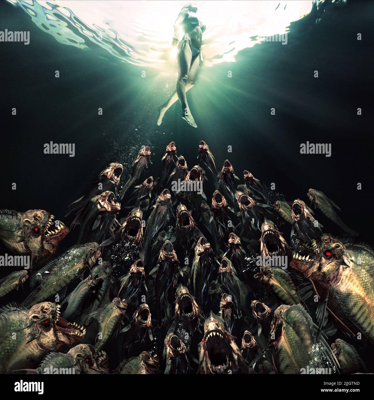 Piranha pirana -Fotos und -Bildmaterial in hoher Auflösung – Alamy