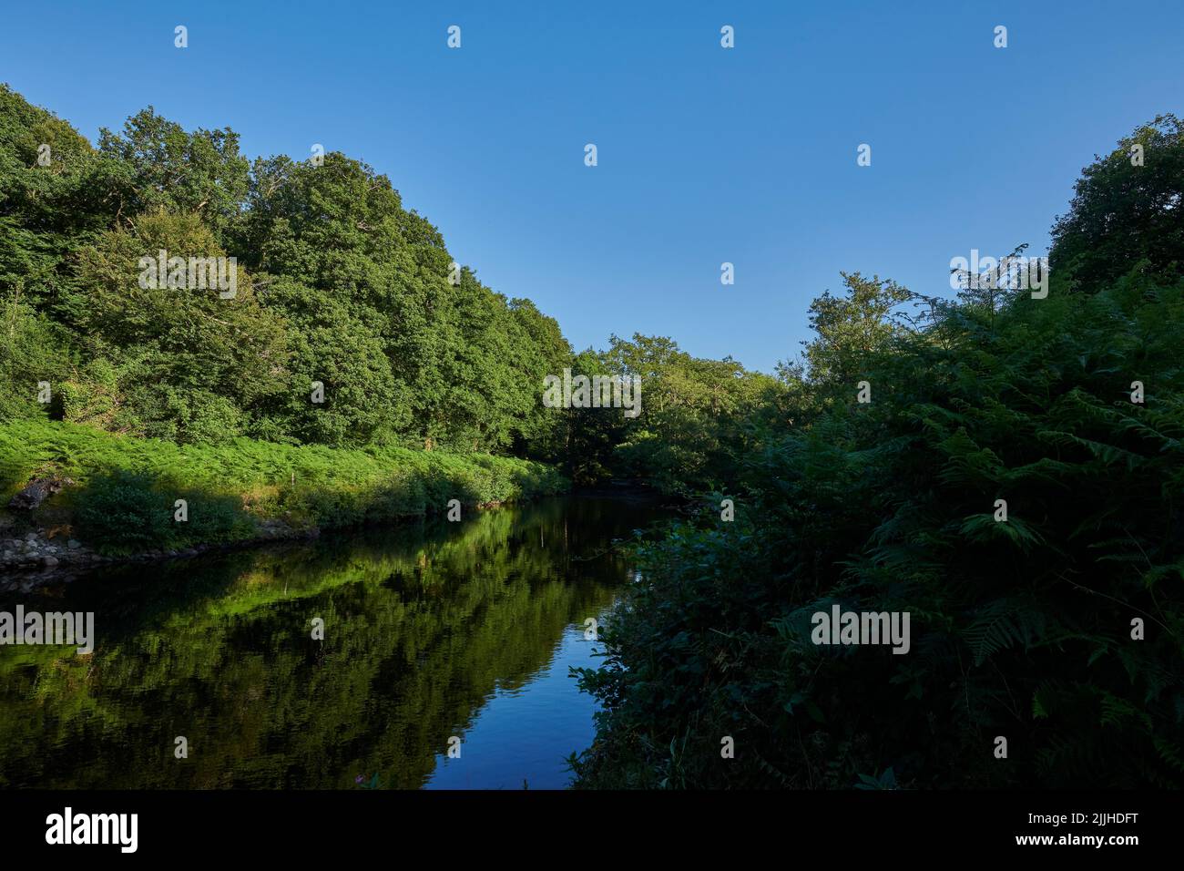 Nationalabend 2022 -Fotos und -Bildmaterial in hoher Auflösung – Alamy