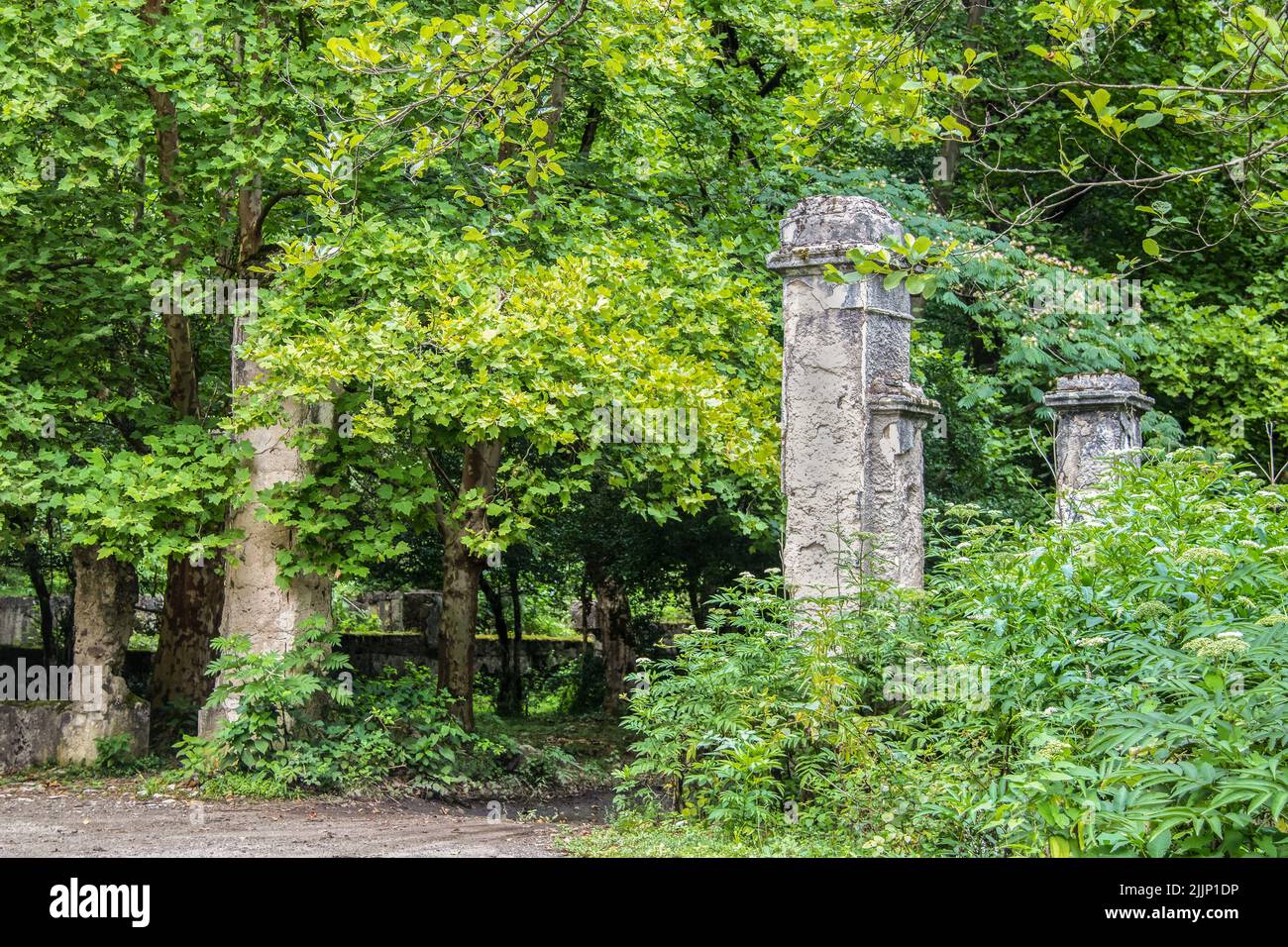 Überwuchert verlassene Ruinen im Wald - Alte Straße zwischen Säulen aus ...