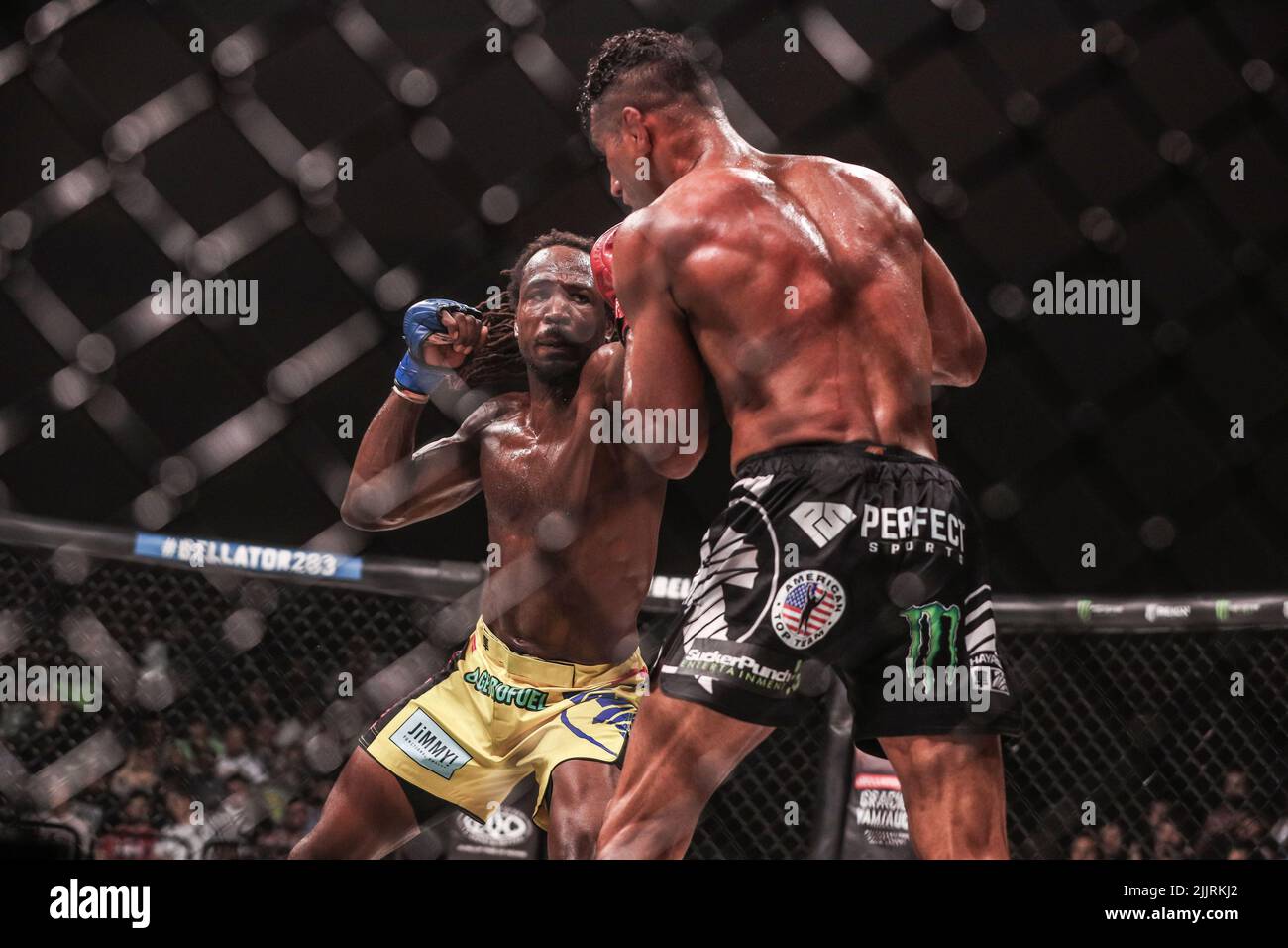 Jason Jackson landet auf Douglas Lima bei Bellator 283. Jason Jackson ...