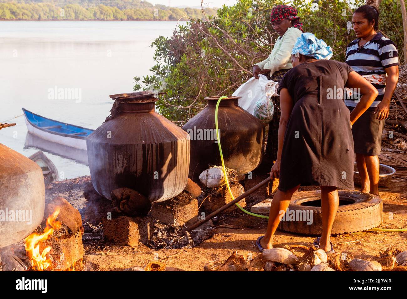 Rachol, Goa Indien- Okt 9 2021 Einheimische Bauern ernten, kochen ...