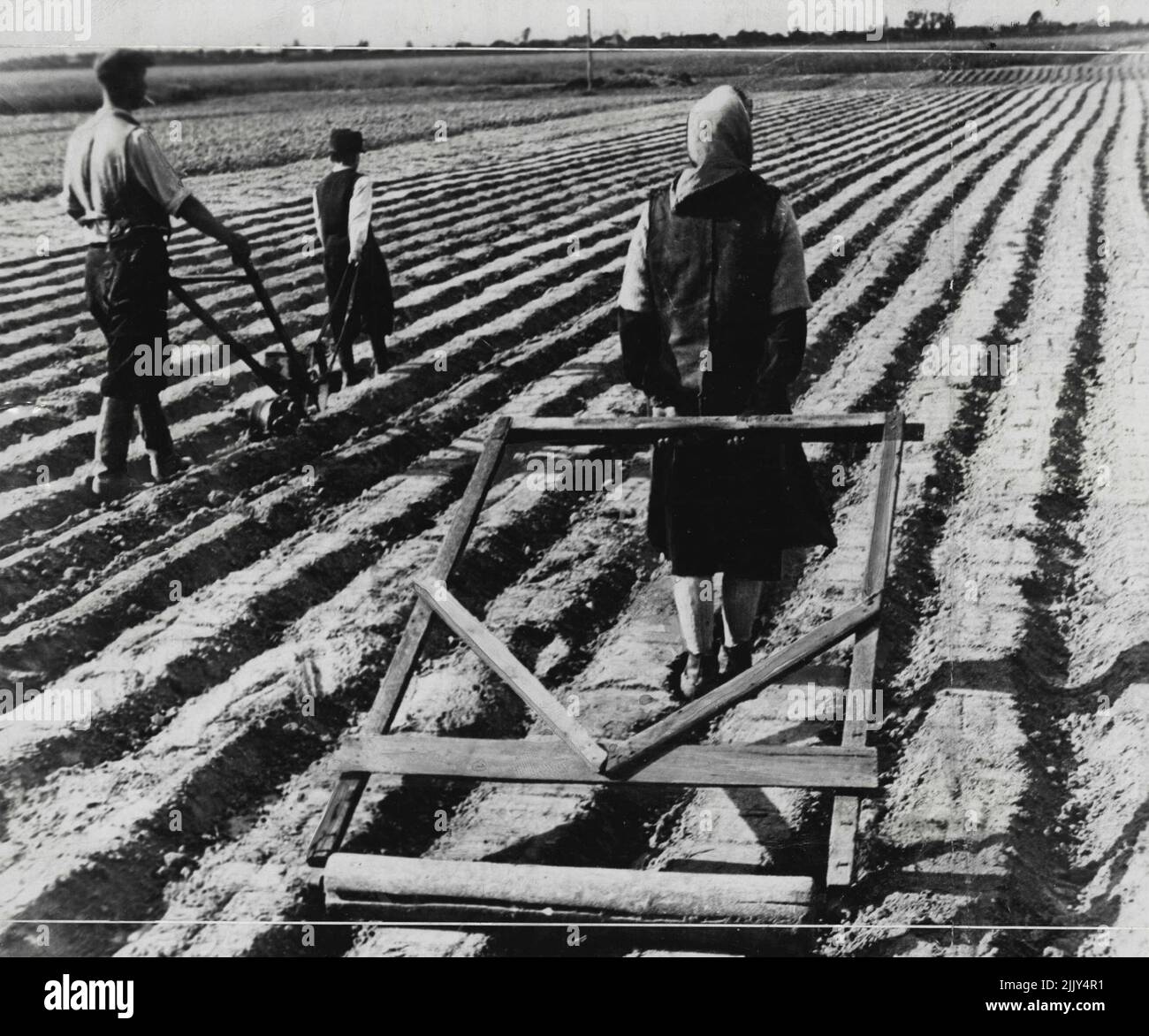 Überall in Polen sieht man Männer, Frauen und Kinder, die menschliche ...