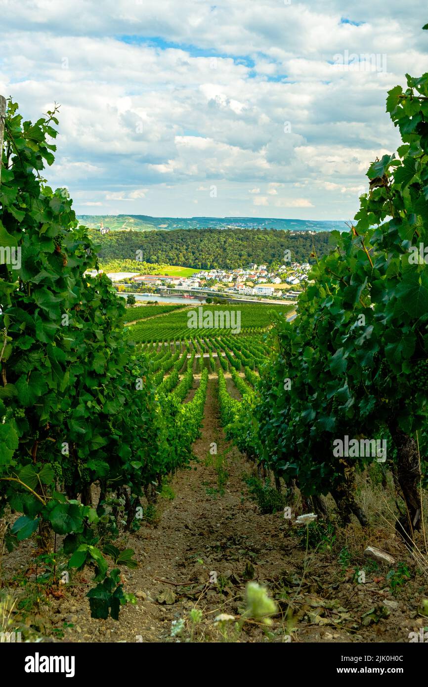 Taunus region -Fotos und -Bildmaterial in hoher Auflösung – Alamy
