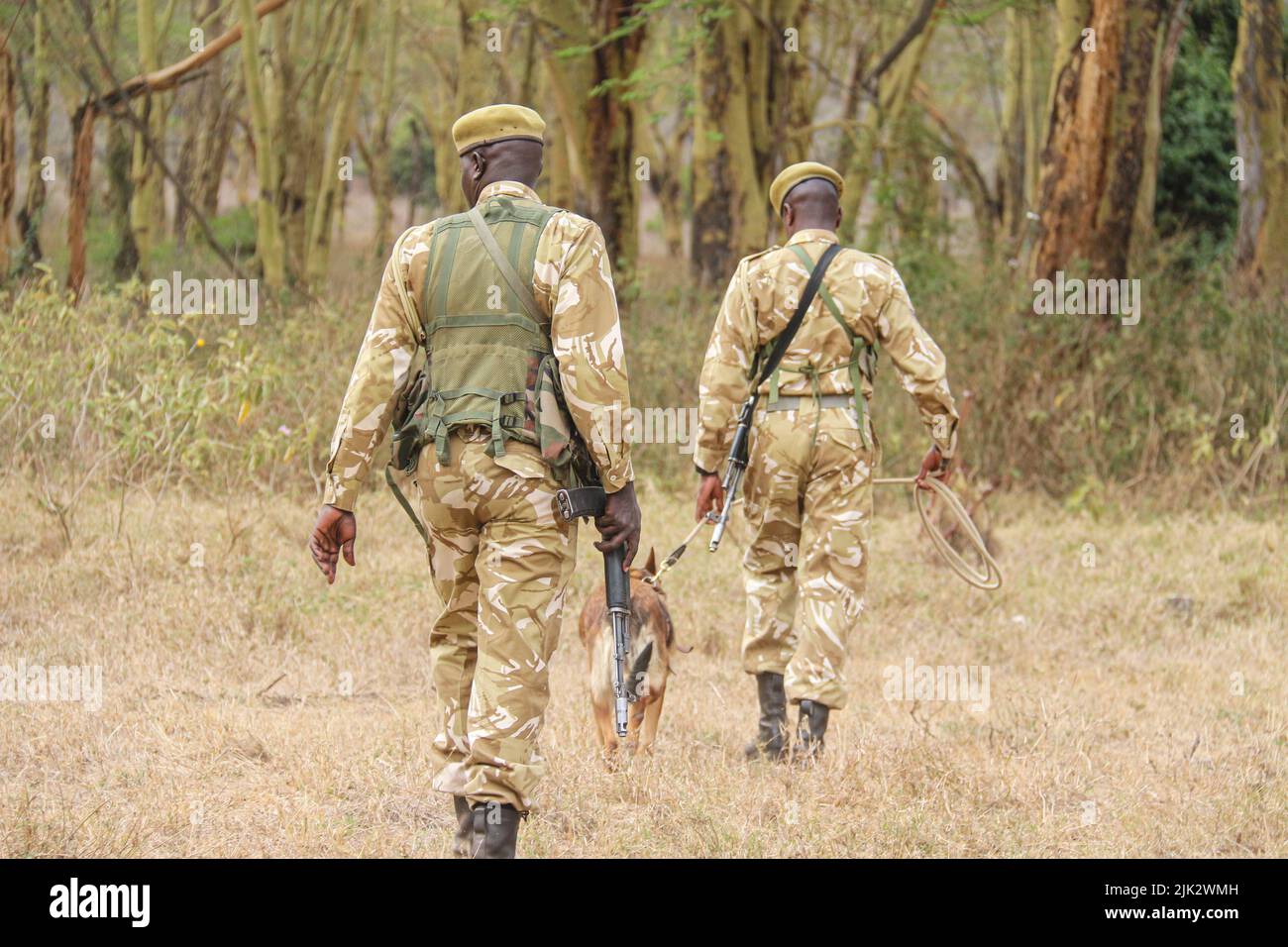 Nakuru, Kenia. 3. März 2019. Hundeführer demonstrieren, wie ein ...