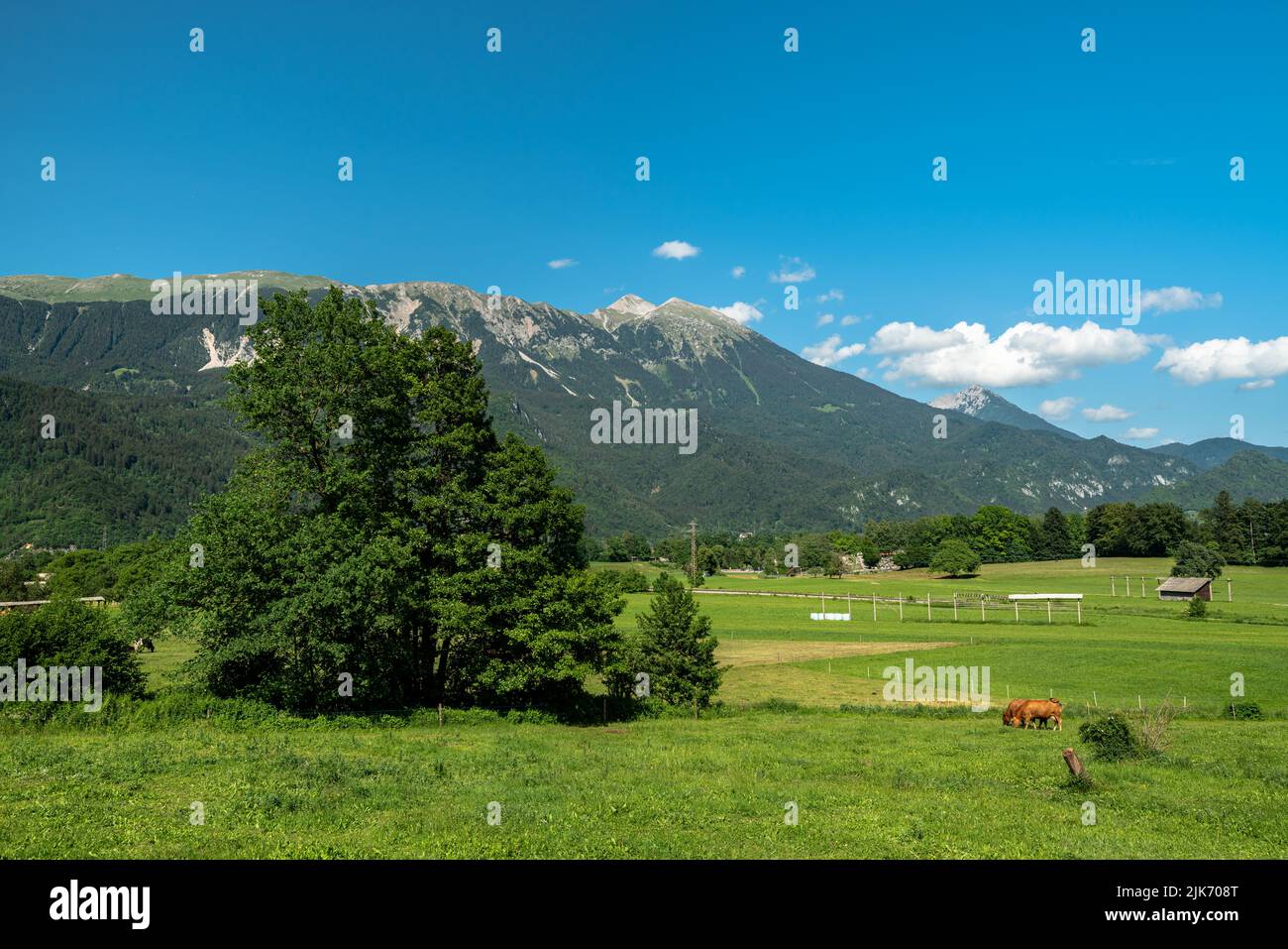Veliki stol -Fotos und -Bildmaterial in hoher Auflösung – Alamy