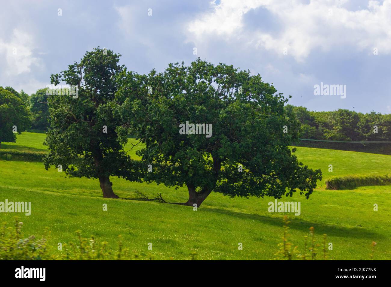 Chelwood dorf -Fotos und -Bildmaterial in hoher Auflösung – Alamy