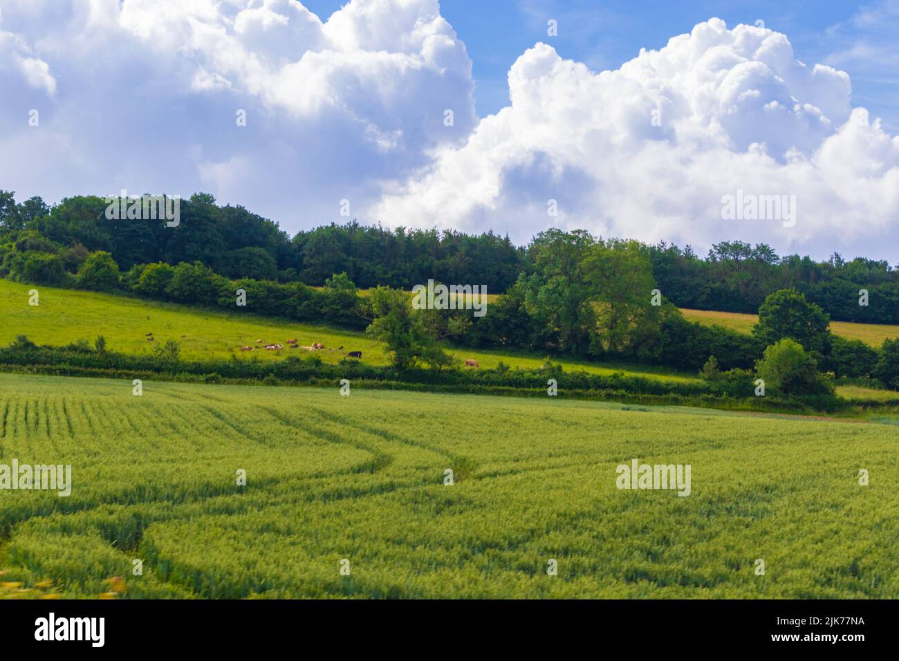 Chelwood dorf -Fotos und -Bildmaterial in hoher Auflösung – Alamy