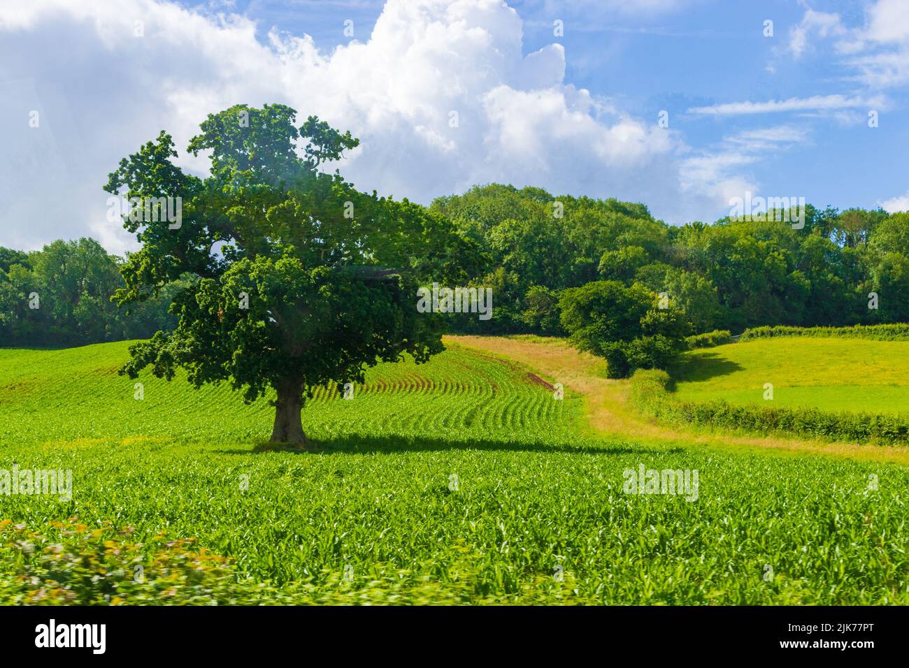 Chelwood dorf -Fotos und -Bildmaterial in hoher Auflösung – Alamy