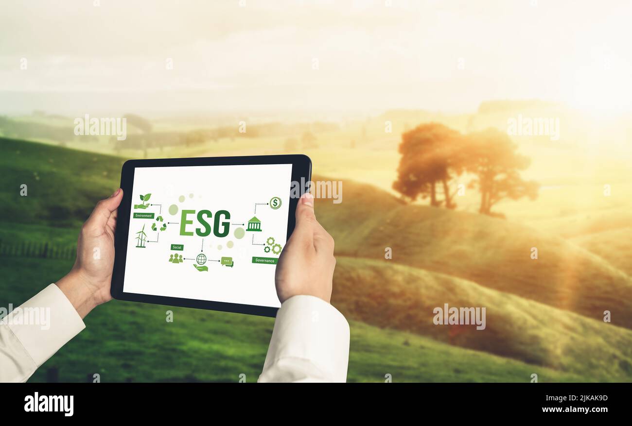 Grüne Business-Transformation für Umweltersparnis und das ...