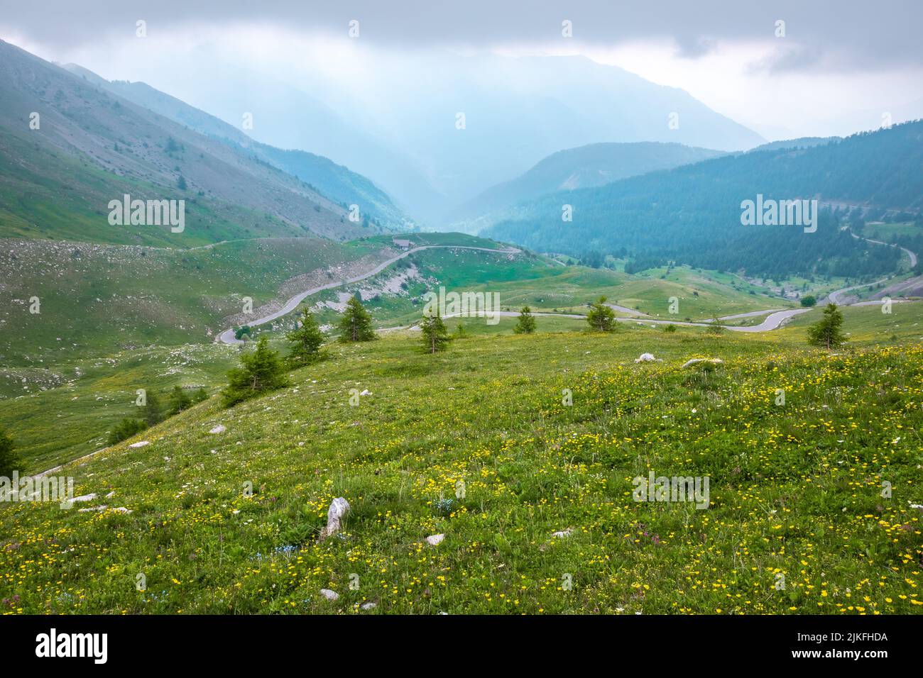 Bioma di montagna -Fotos und -Bildmaterial in hoher Auflösung – Alamy