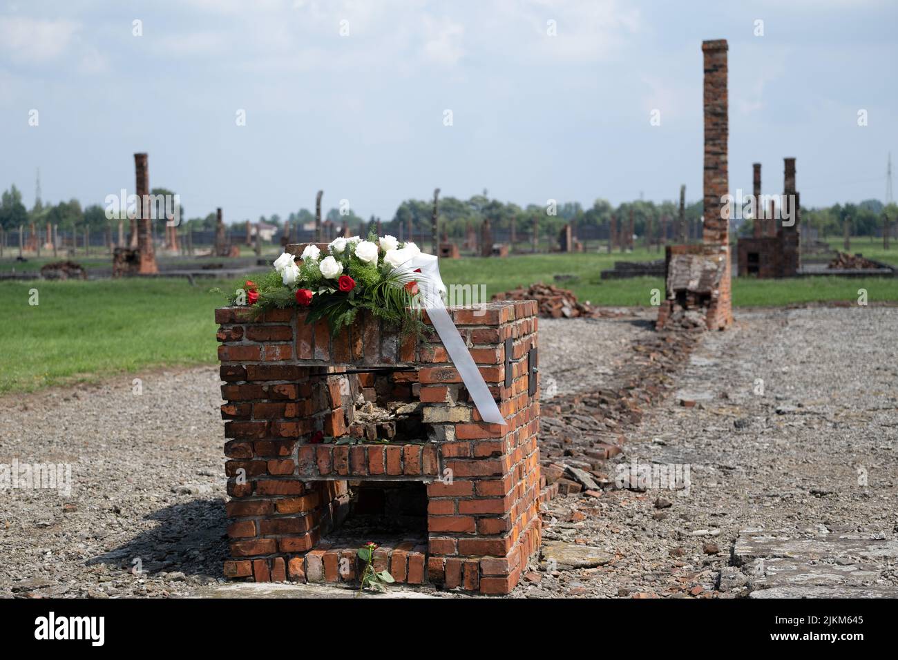 Barackenschutt mit den Blumen, die im ehemaligen Lager Auschwitz II Birkenau gesehen wurden. Tag ...