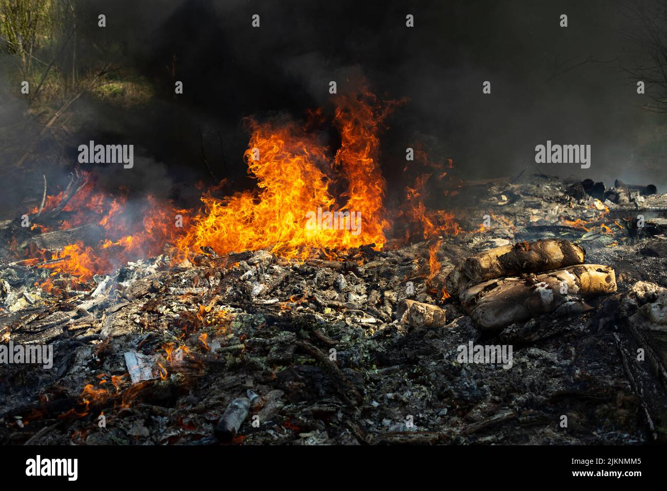 Feuer und schwarzer Rauch. Brand in Deponien. Rauch im Wald. Illegale ...