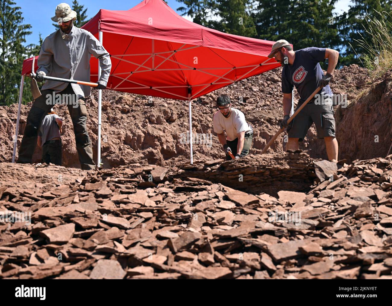 Tambach Dietharz, Deutschland. 02. August 2022. Am Fossilienstandort ...