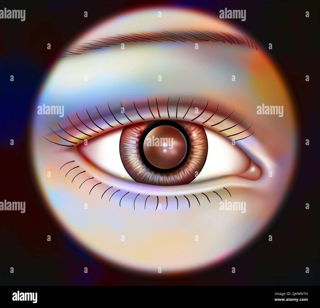 Eye chamber -Fotos und -Bildmaterial in hoher Auflösung – Alamy