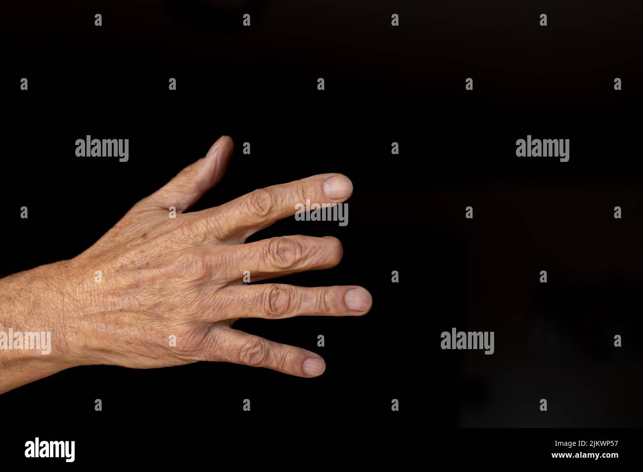 Middle phalanges -Fotos und -Bildmaterial in hoher Auflösung – Alamy