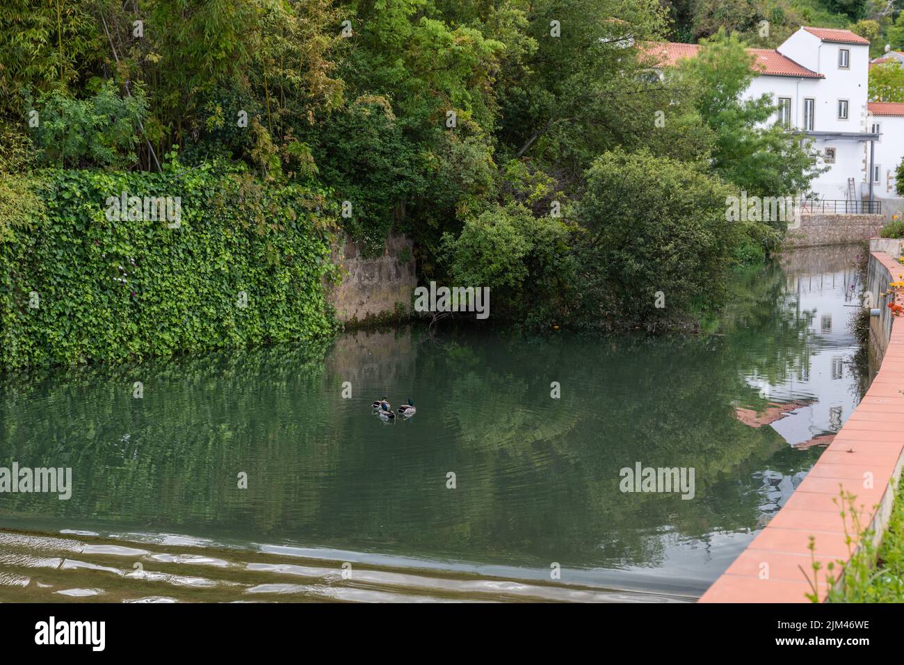 Fluss mandala -Fotos und -Bildmaterial in hoher Auflösung – Alamy