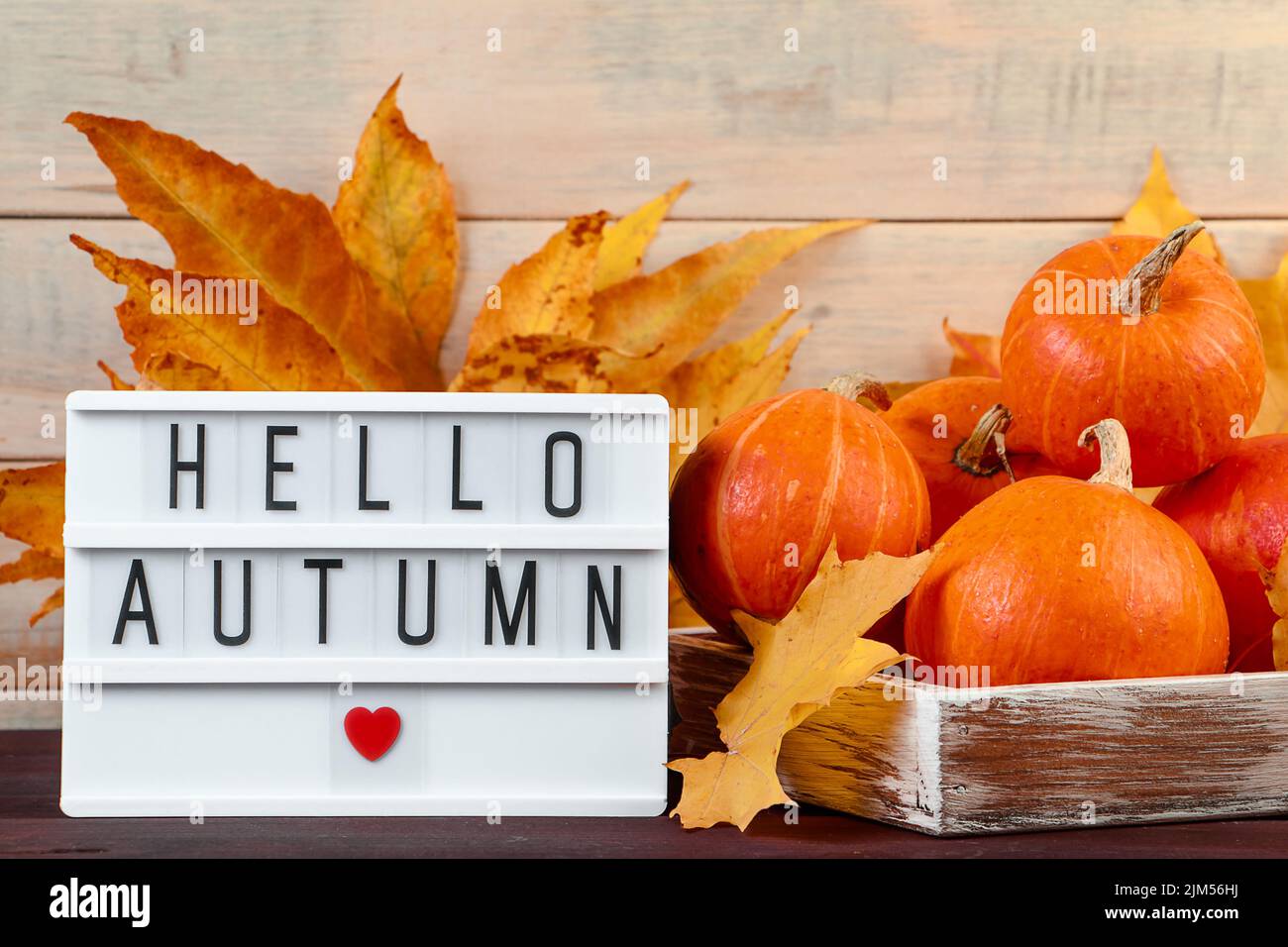 Hallo Herbst. Reife Kürbisse und gelbe Blätter in einer Holzkiste ...