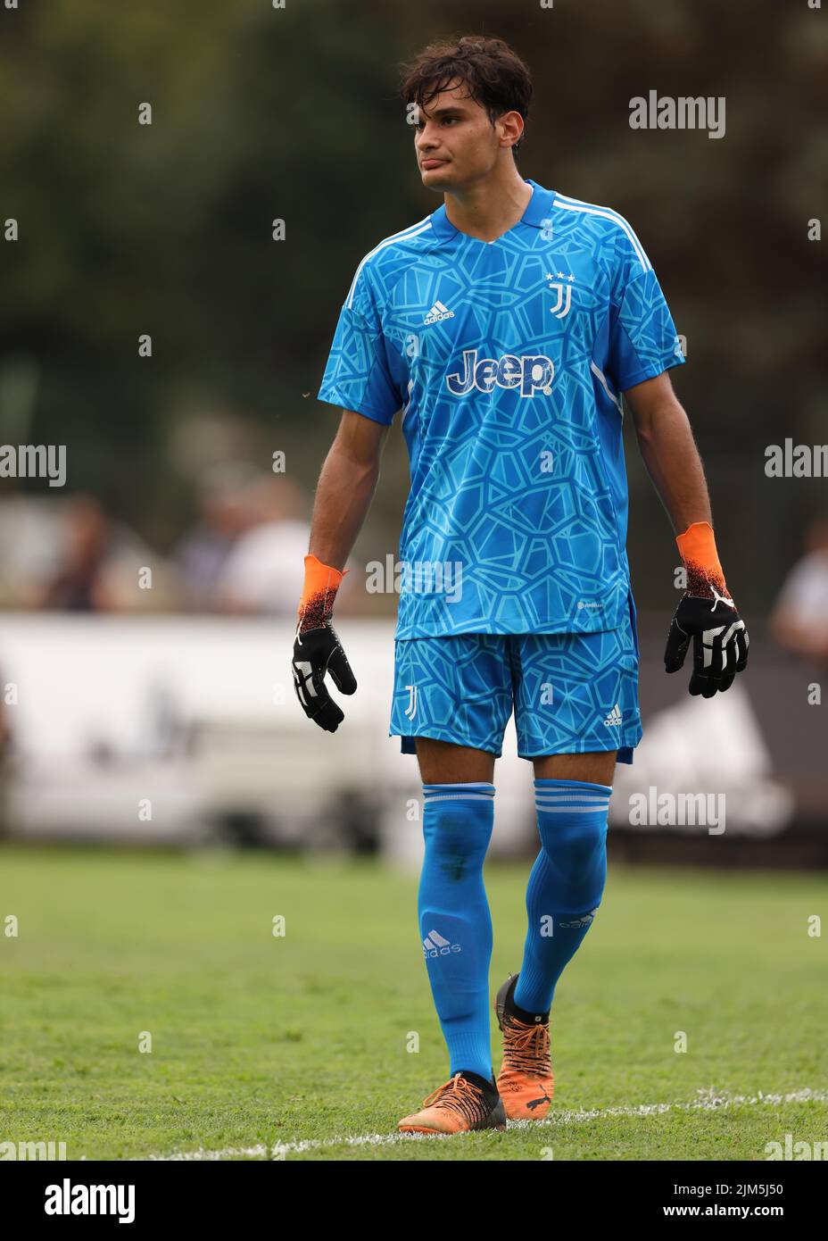 Gaetano giovanni -Fotos und -Bildmaterial in hoher Auflösung – Alamy