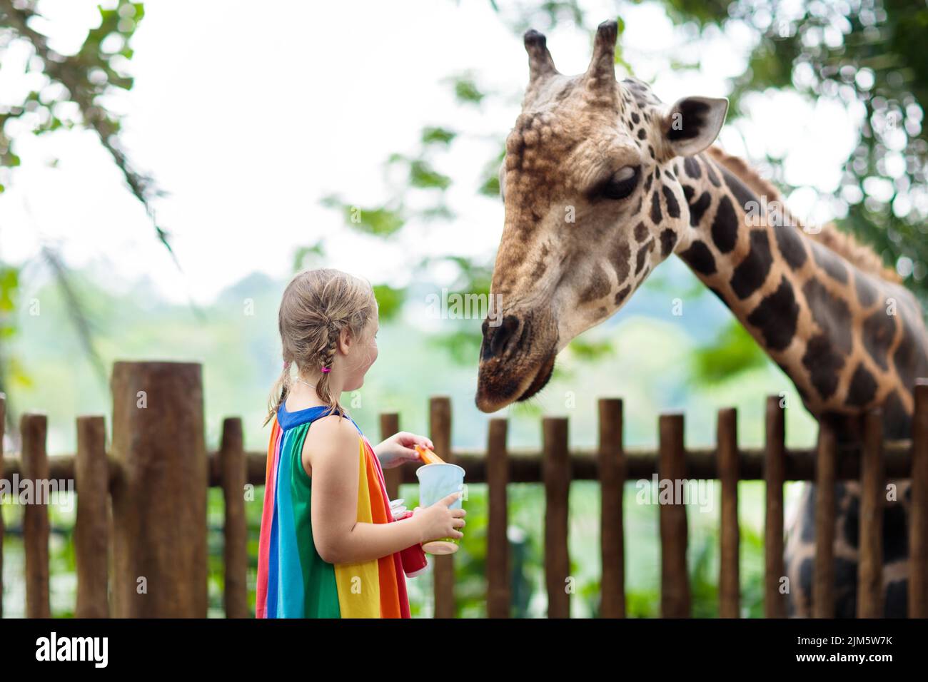 Asiatische kinder im zoo -Fotos und -Bildmaterial in hoher Auflösung ...