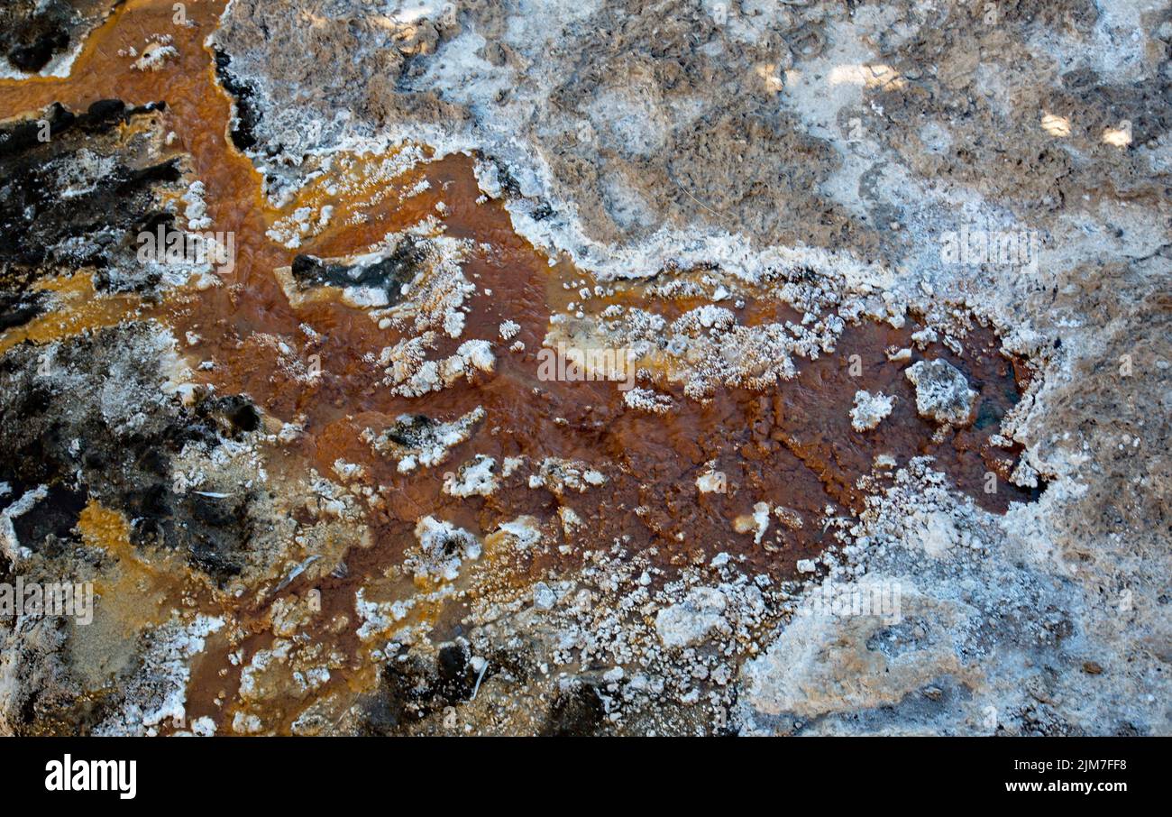 Talaroo Hot Springs produzieren Wasser bei etwa 60 Grad Celsius, das in ...