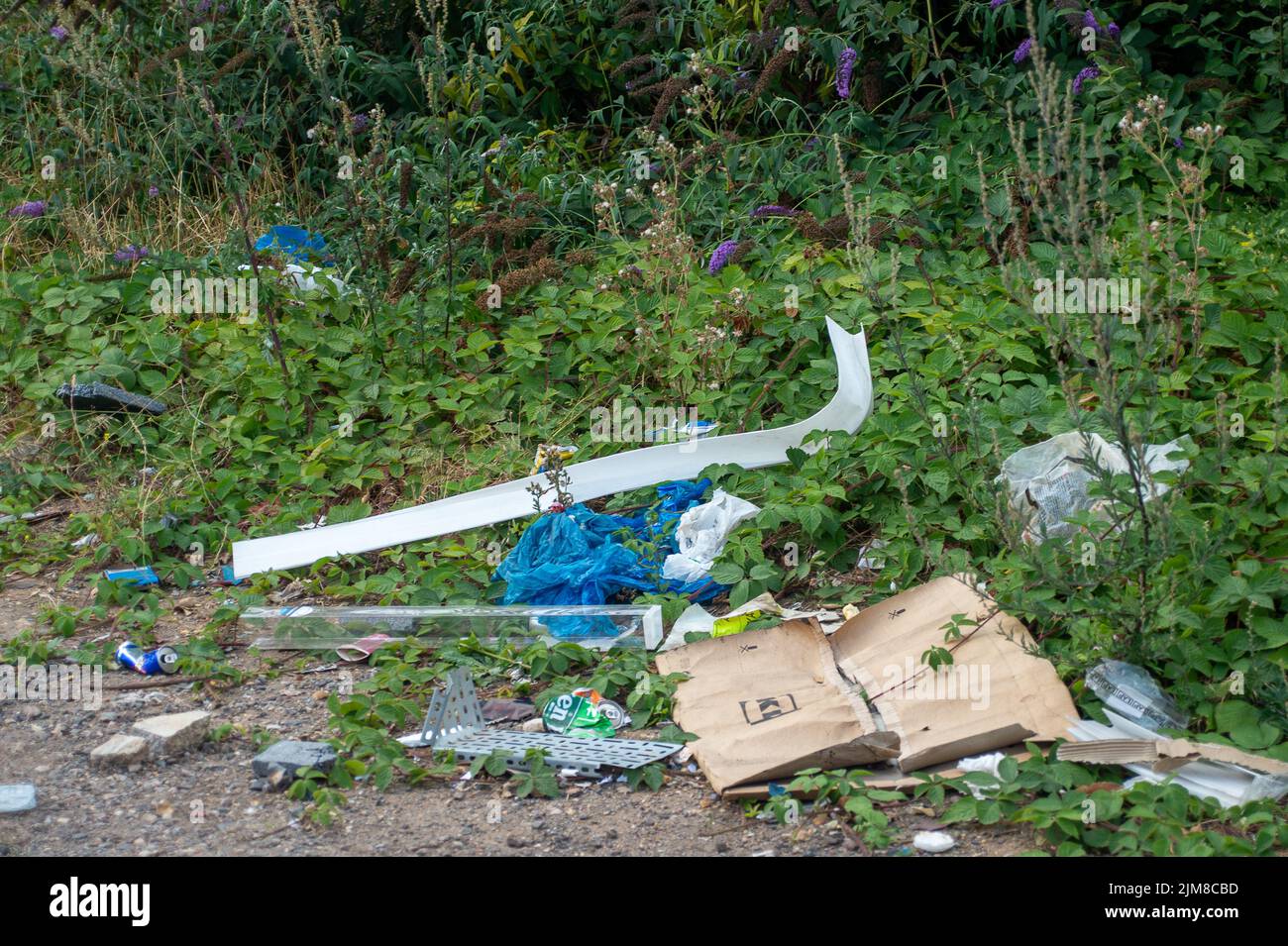 Slough Berkshire Großbritannien 4 August 2022 Fliegenkippen In