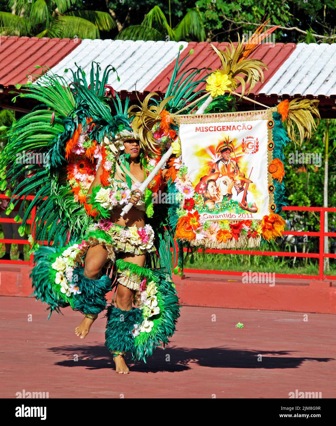 Festival do boi bumba -Fotos und -Bildmaterial in hoher Auflösung – Alamy