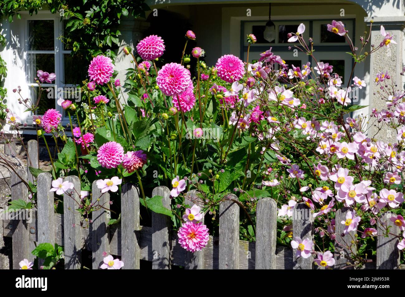 Bauerngarten deutschland -Fotos und -Bildmaterial in hoher Auflösung - Seite 3 - Alamy